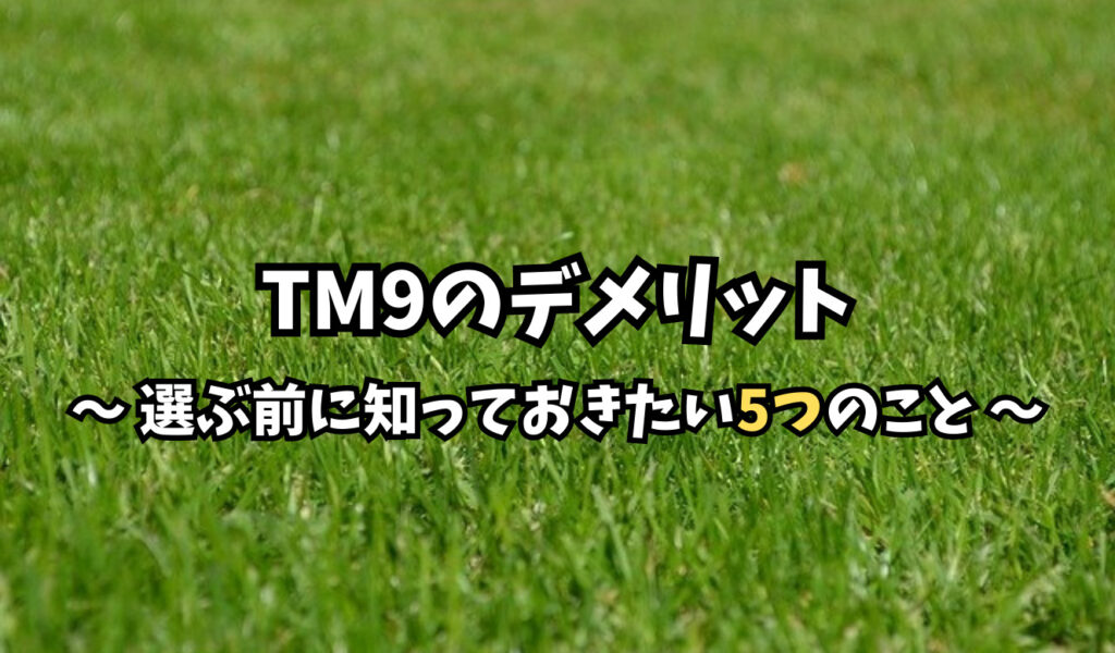 TM9を選ぶ前に！5つのデメリットを知っておこう！